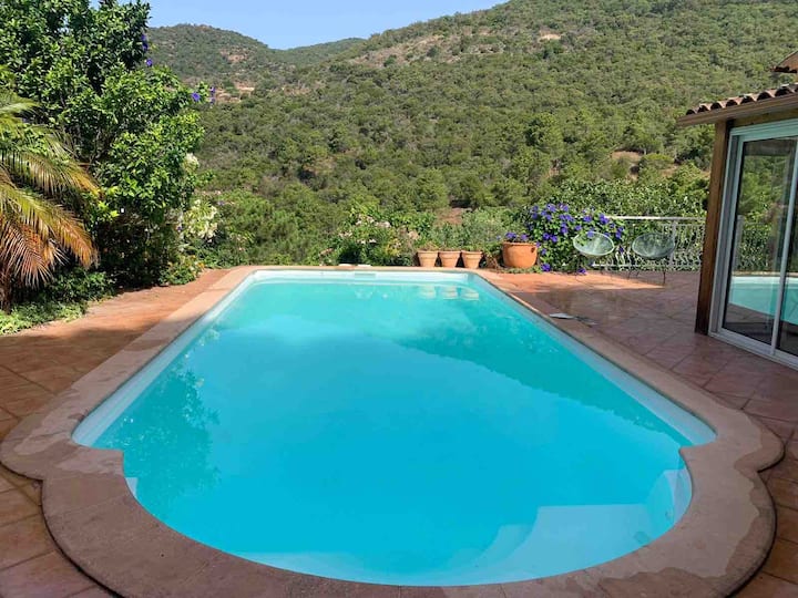 Villa Provençale Climatisée With A Large Pool - Hyères