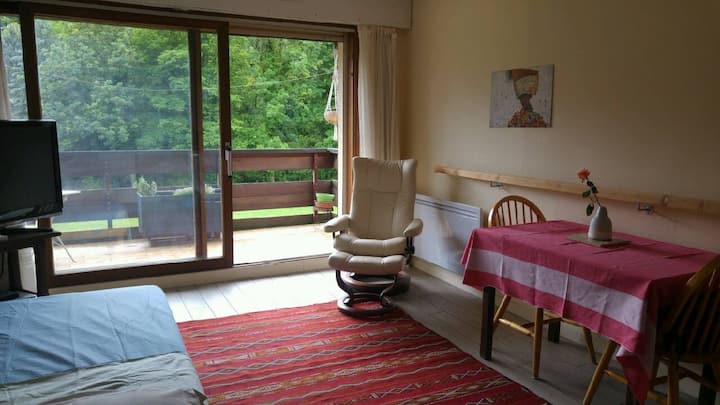 Charmant Studio Menthon St Bernard - Menthon-Saint-Bernard
