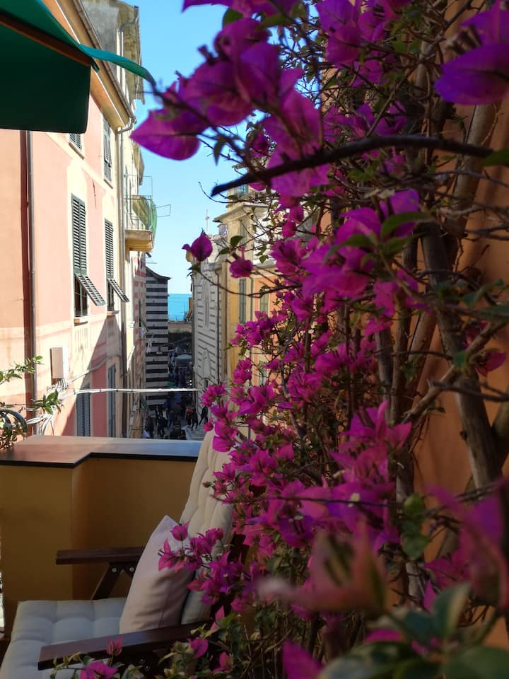 Single Room For Solo Travel At  L Antica Terrazza - Monterosso al Mare