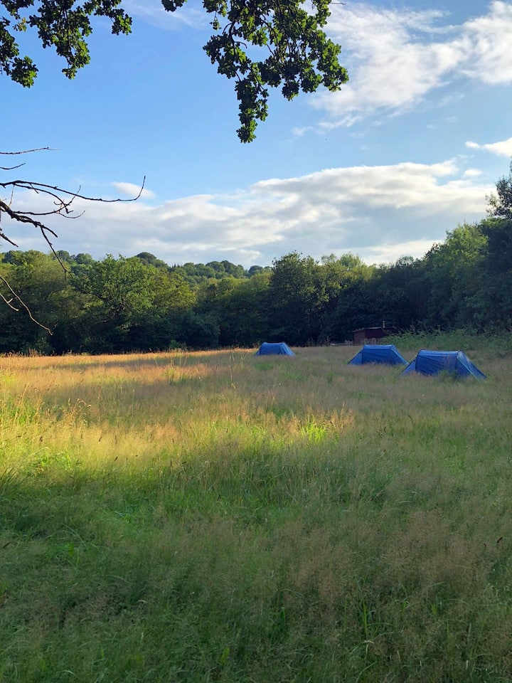 Wild Camping In A Somerset County Wildlife Site - Somerset, UK
