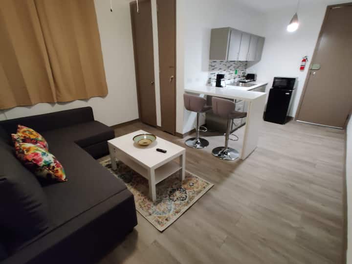 Beautiful Modern Apartment 10 - San Juan, Puerto Rico