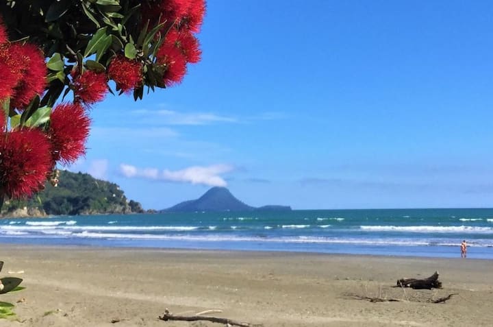 Black Bach - Ohope Beach - Ōhope