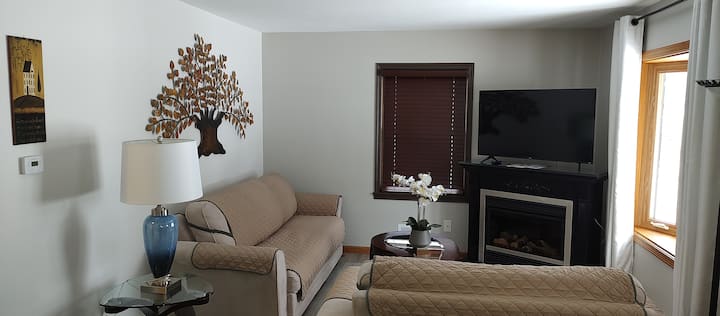 Rochester Home With Shady Oaks / Private Backyard - 明尼蘇達州