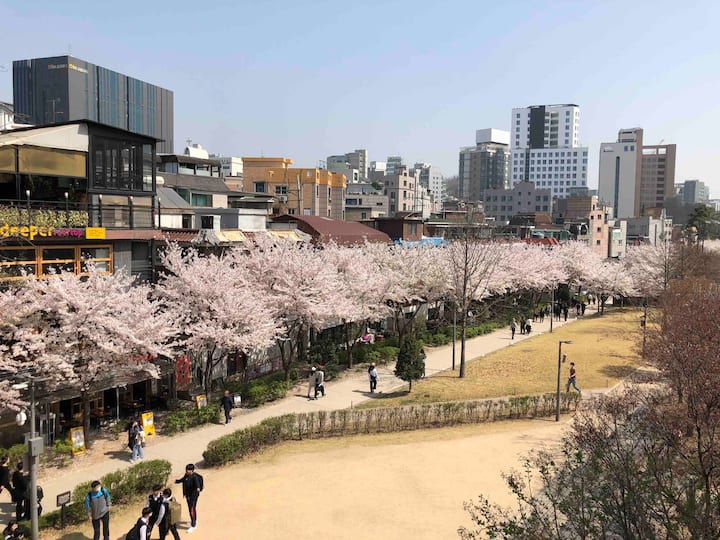 [홍대입구역] 벚꽃뷰 /방3개,침대4/공항택시 픽업서비스/세탁기,건조기,재방문높은숙소 - Seoul