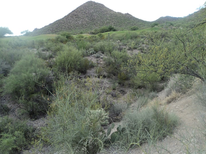 Southwest Casita With Wildlife And Hiking - Casino Del Sol