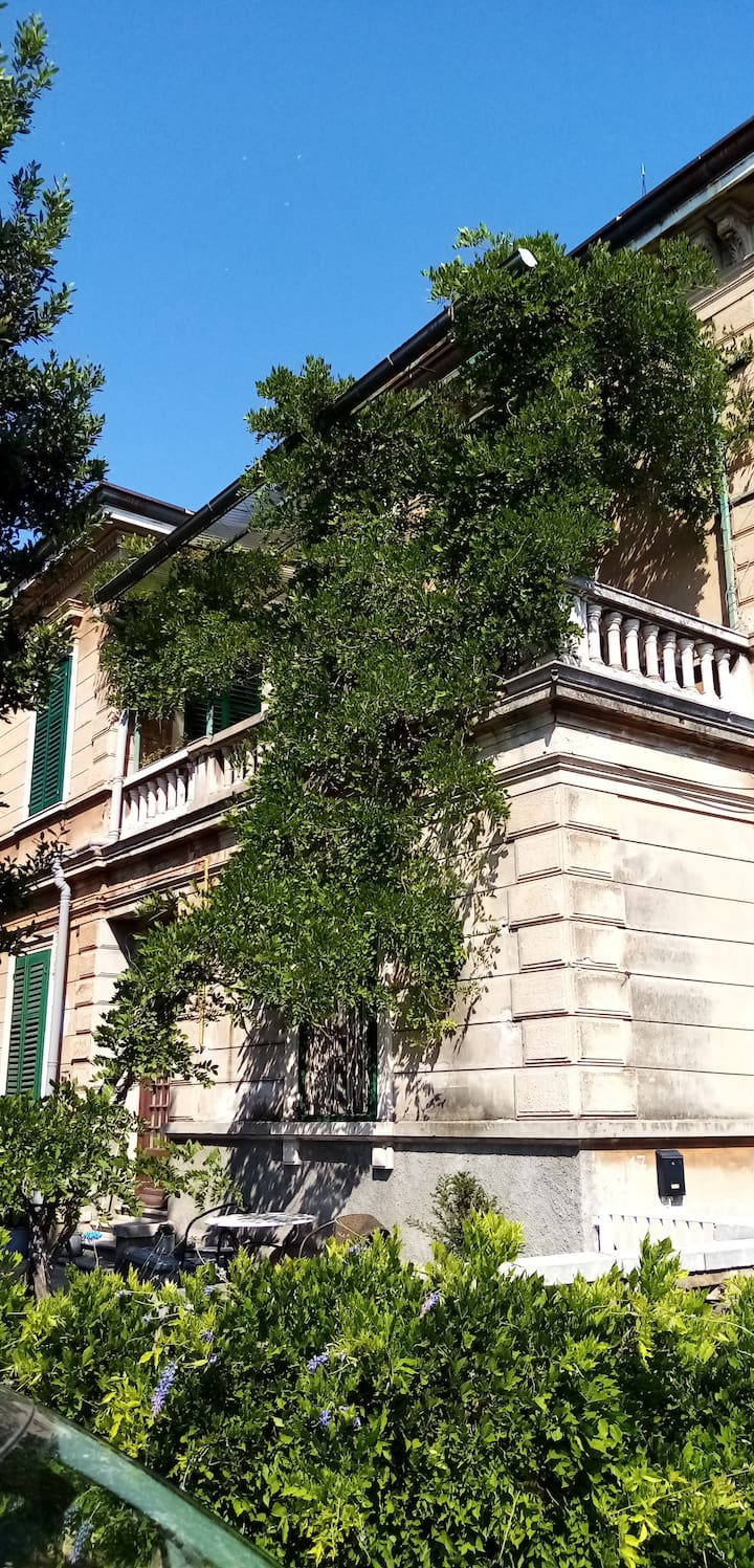 Vila Dragica Appartment - Rijeka