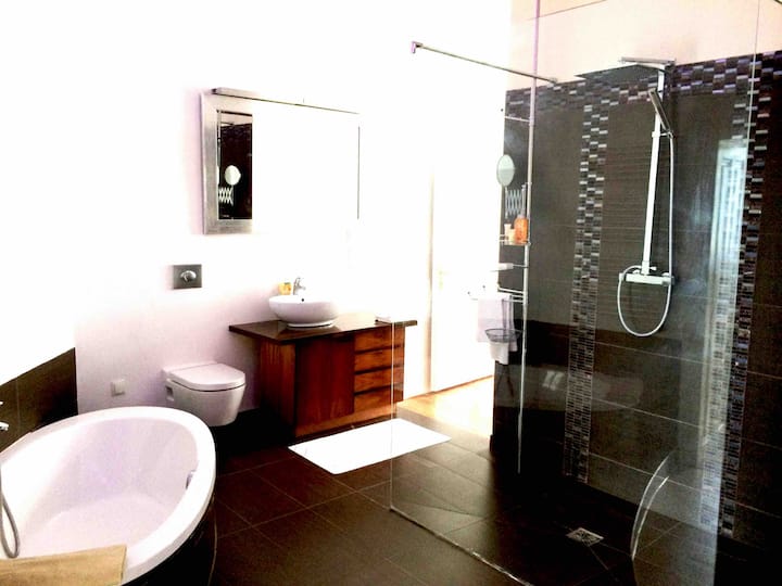 Heart Of Vienna - 120m2 Renovated - Vienna