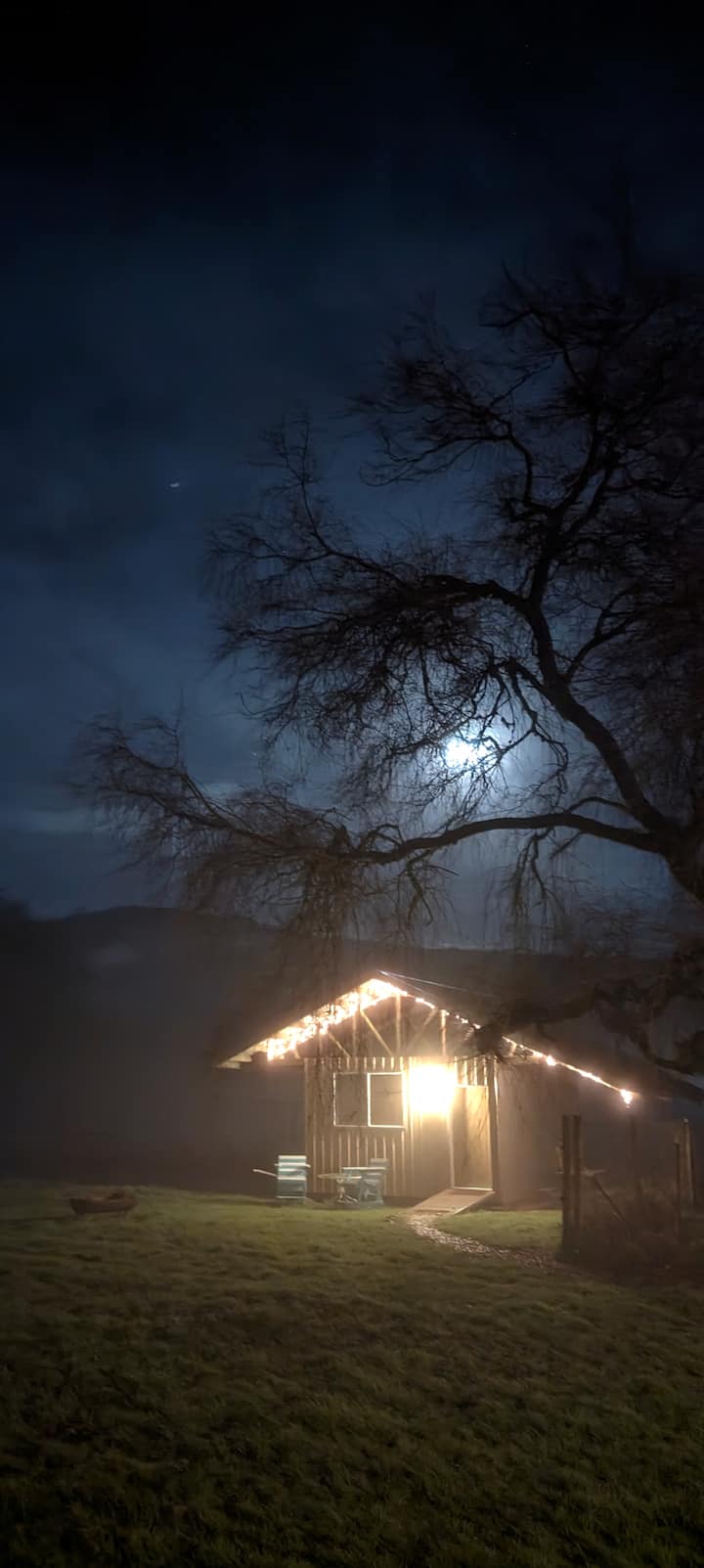 Willow Tree Cabin - Flathead Lake, Cathlamet