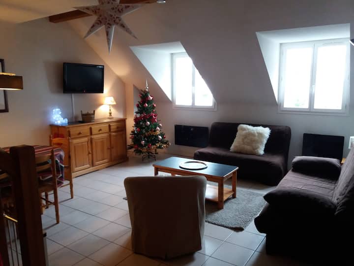 Grand Appartement Duplex 80 M2. Vue Montagne. - Cauterets