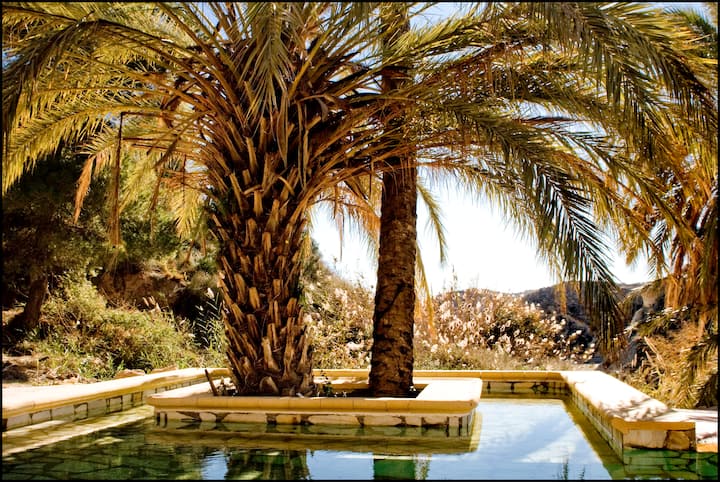 Cortijo Rural Las Gachas - Señorito - Huércal Overa