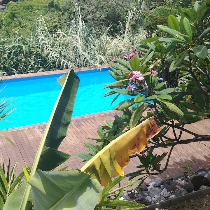 Kazalily Bas De Villa Grande Terrasse / Piscine. - Guadeloupe