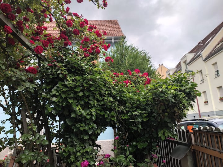 Maison - Strasbourg