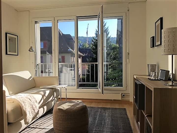 Studio Walking Distance To University/eth Zurich. - Zürich