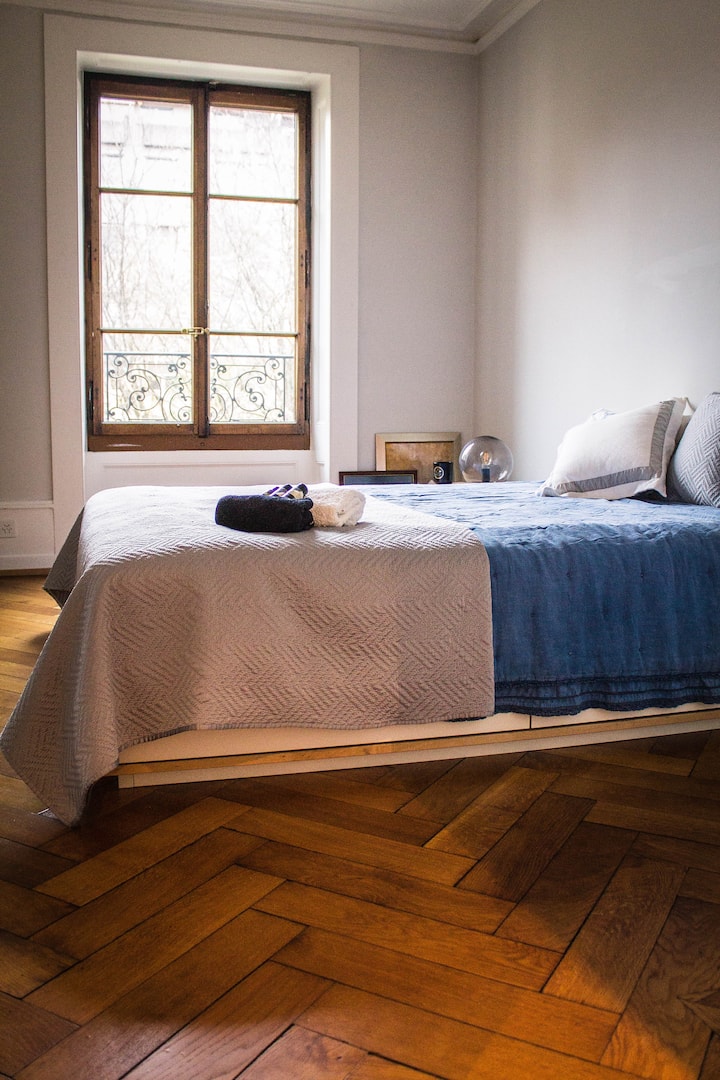 A Charming Private Room Centrally Located - Geneva