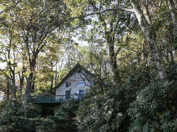 Snowbird Chalet - Blowing Rock, NC