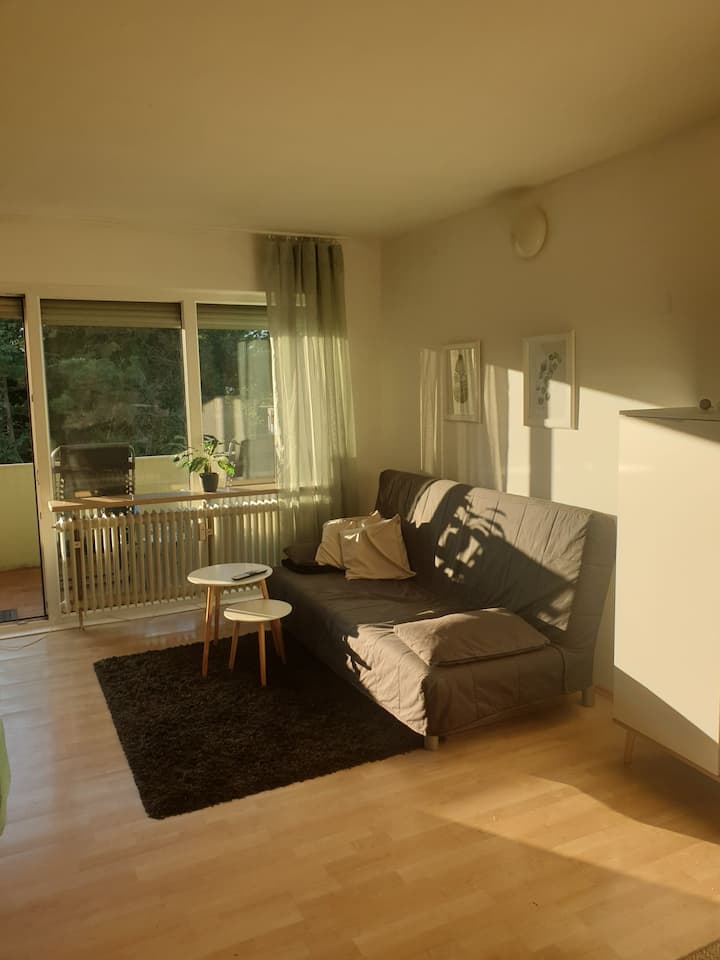 Schönes Appartement Mit Balkon - Landshut