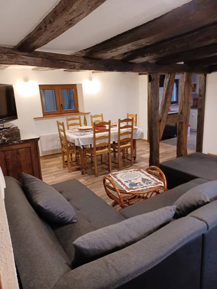 Gite De La Capitale Du Riesling - Sélestat