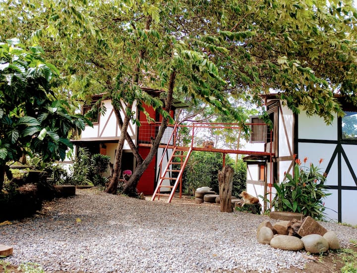 Hospedaje, Camping - Canas