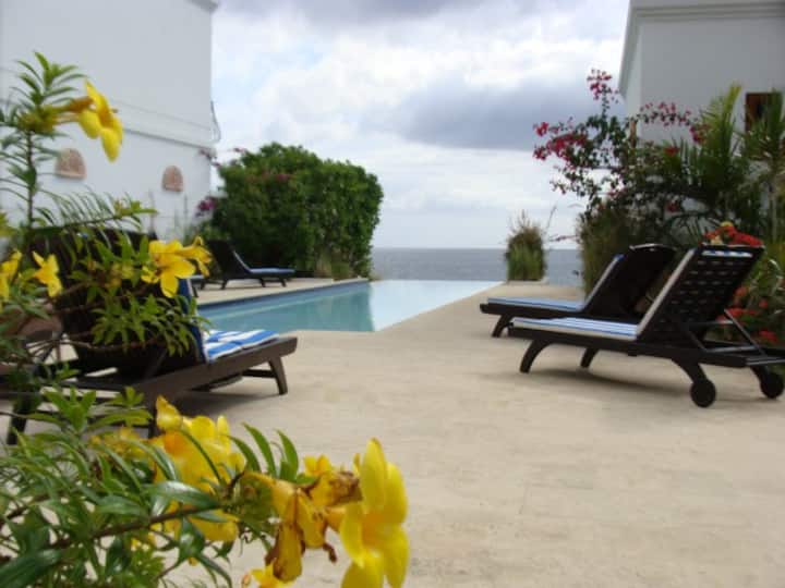 Elegant, Quite Villa Located In The West Coast Of Puerto Rico, Rincón. - Aguada