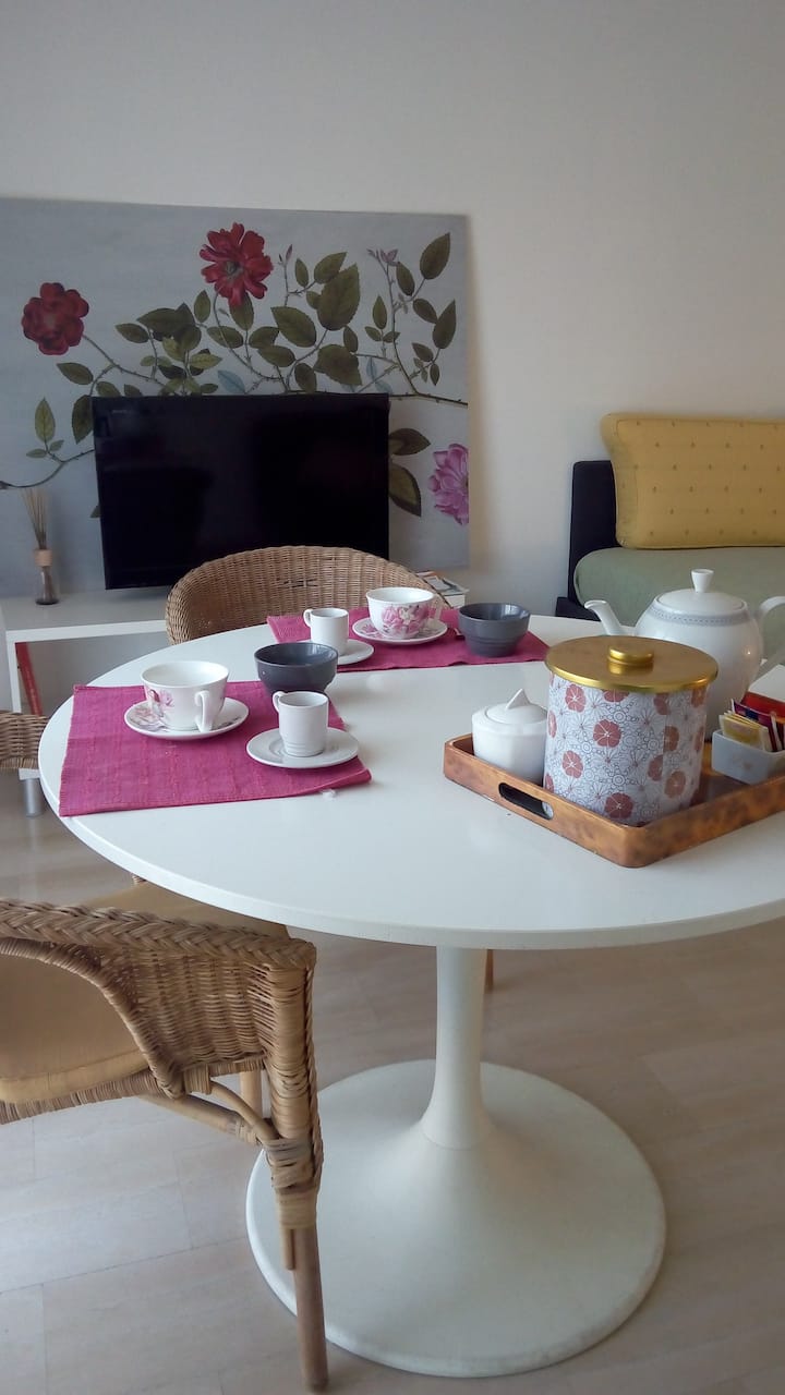 Vittadinisette, Close To Citycenter And Station - Pavia