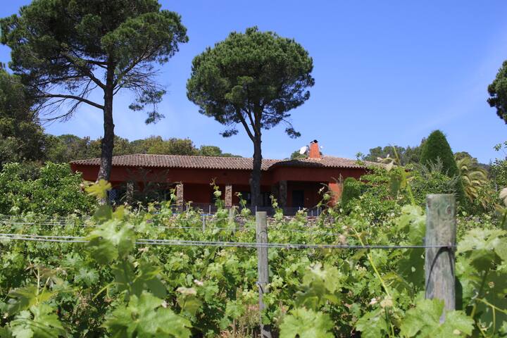 Mas Terracota - Palamós