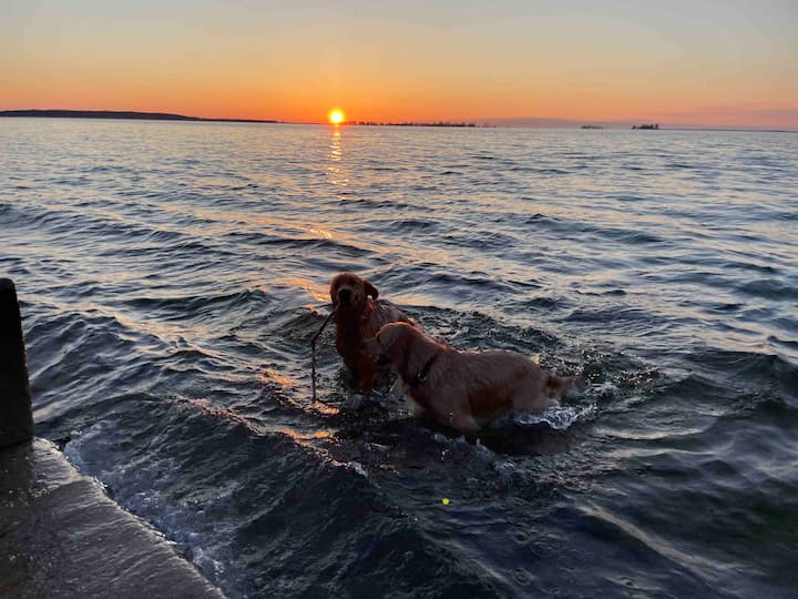 Lovely Lakefront Getaway - Sackets Harbor, NY