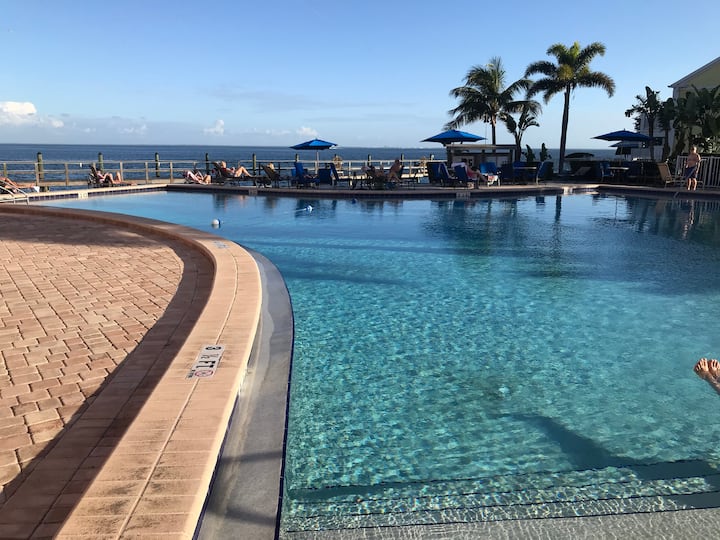 Corner Unit With Patio. Pools, Hot Tub, Pickleball - St. Petersburg, FL