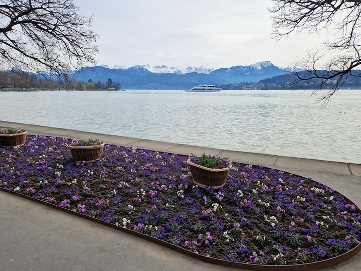 Juwel 5 Min From Lake Luzern - Lucerne