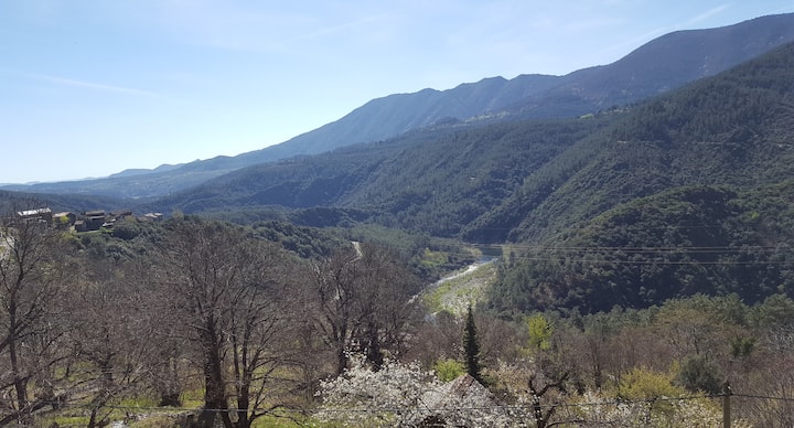 Gite Du Bonelli, Jacuzzi Toute L'année Et Piscine - Parc national des Cévennes