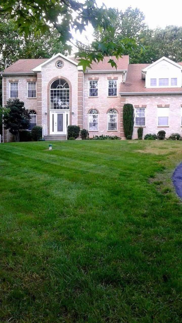 Heavenly Host View Of Horses - Clinton, MD
