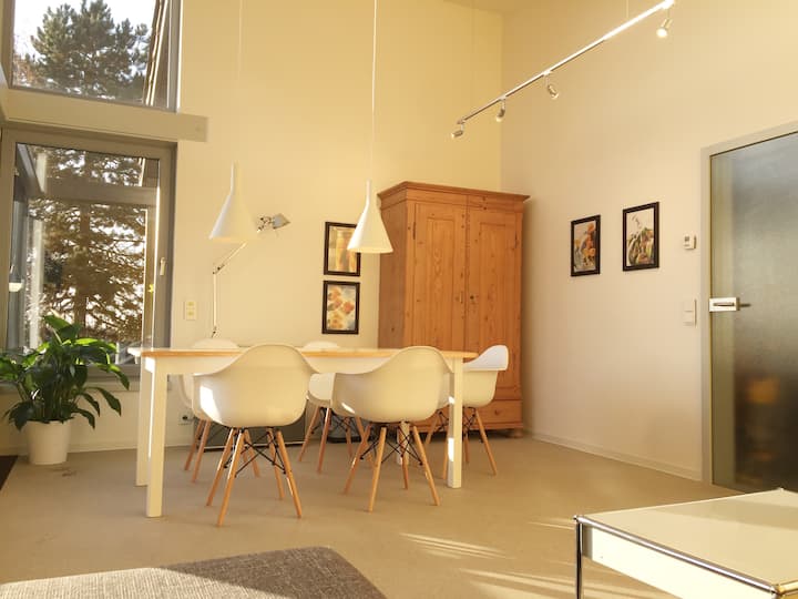 Oppenheim Lofts, Loft 3 - Oppenheim