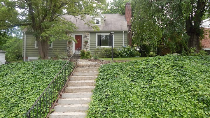 Charming Cape Cod Close To It All - Asheville, NC