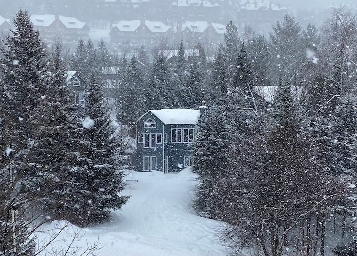 Comfortable Ski In/ Out  Condo On The Hill - Mont-Tremblant