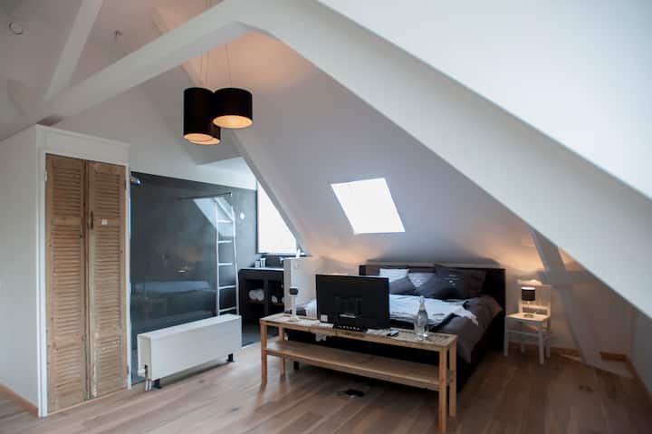 Villa Heidetuin Kamer Gris - Steenbergen