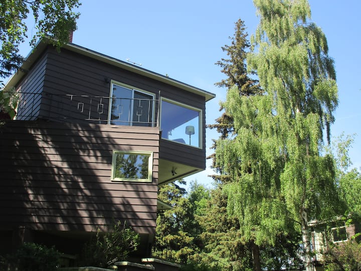 Private Forest Lullabye - Anchorage, AK