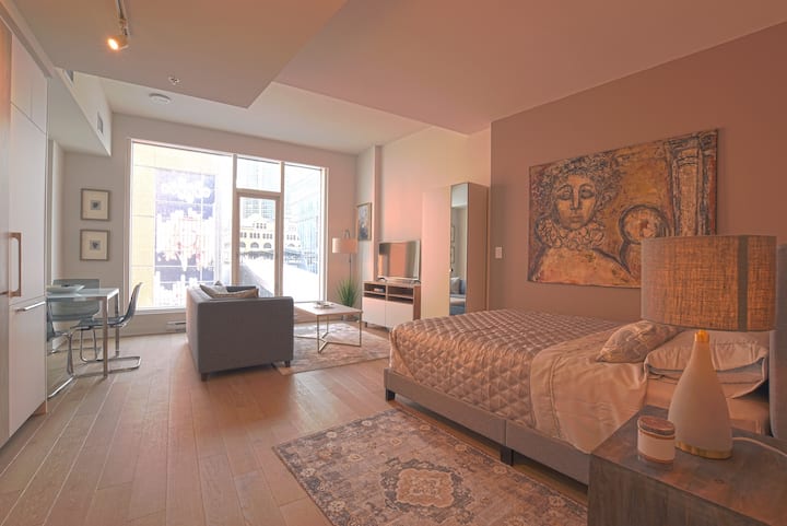 New Luxurious Downtown Condo - LaSalle