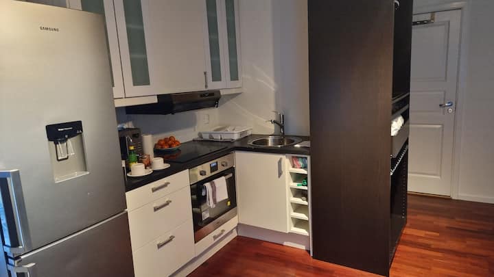 A Fantastic Studio For Your Holiday Or Short Stay - Jessheim