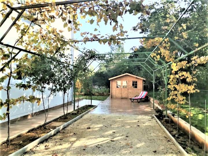 Apartment Lili - Ližnjan