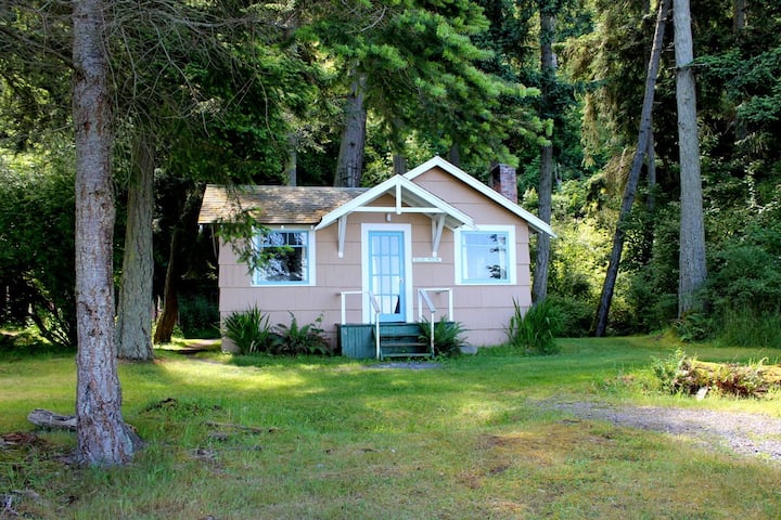 Blue Moon Beach Cottage - Eastsound, WA