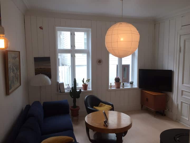 Lys Og Triveleg Leilighet På Nordnes - Norvège