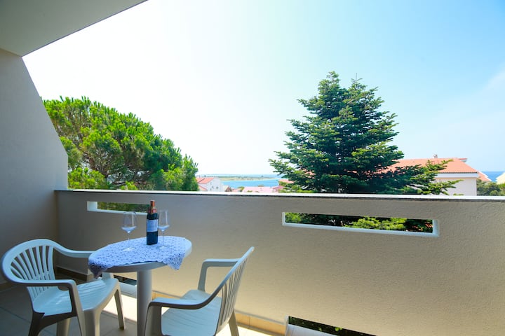 Antonio Apartment 4 Persons R - Novalja