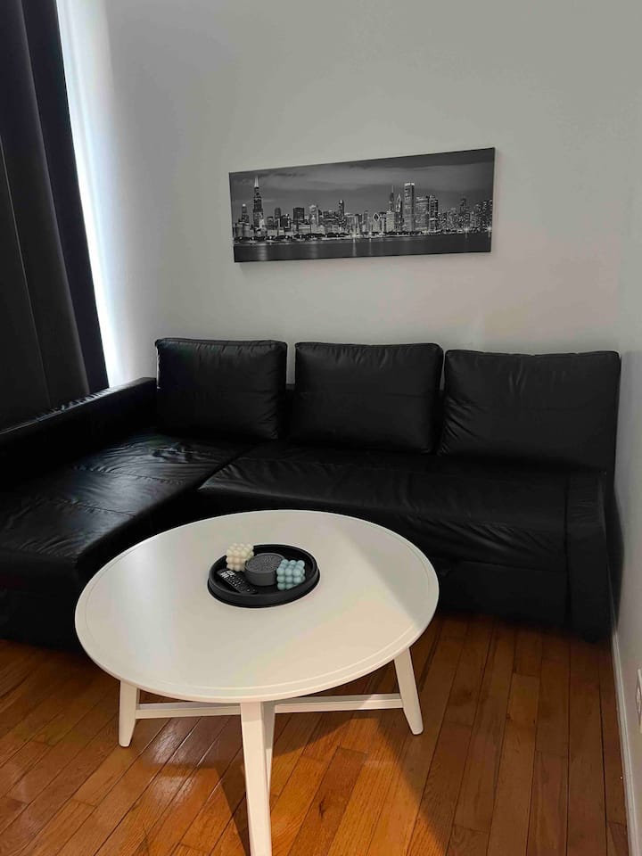 Adorable 2 Bedroom With Free Street Parking - New City - Chicago