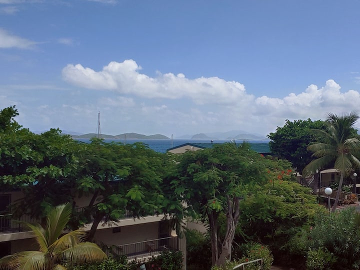 Pete's Caribbean Retreat. 1 Br Condo Sapphire Vlg - U.S. Virgin Islands