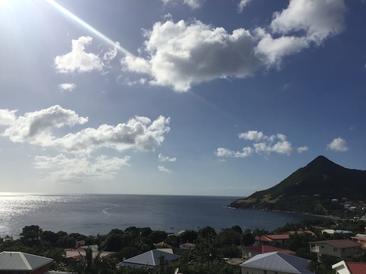 Le Colibri - Martinique