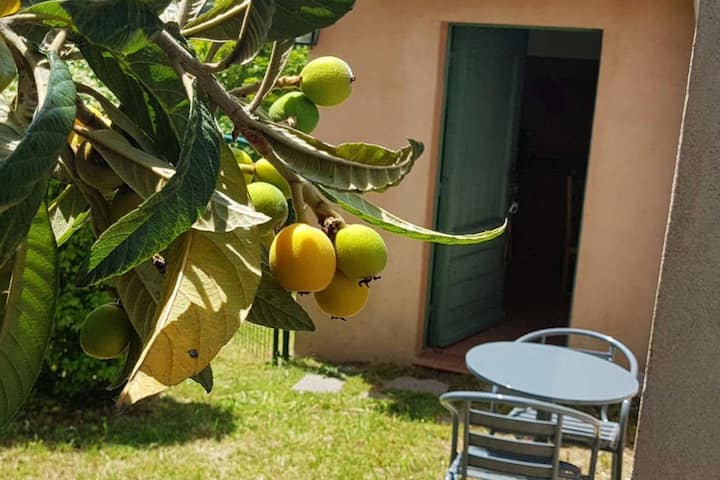 Spacieux F1 Proche De Cannes Grasse Et Mandelieu - La Roquette-sur-Siagne