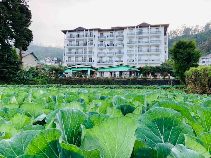 City Apartment 2bedroom(city Centre) Nuwaraeliya - Nuwara Eliya