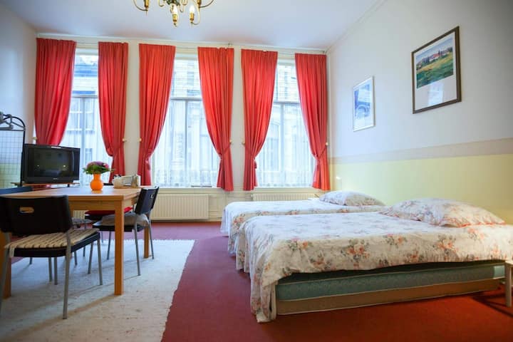 Historic B&b In The City Center Of The Hague 1 - Delft