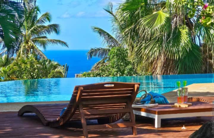 Propriété D'exception Dans Un Cadre Luxuriant. - Martinique