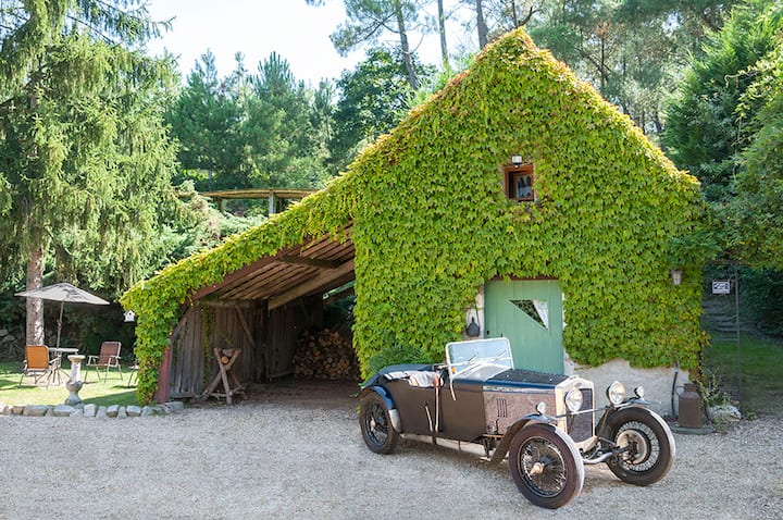 La Coyere Gites -Romantic 1 Bedroom Gite With Pool - Vallée de la Loire