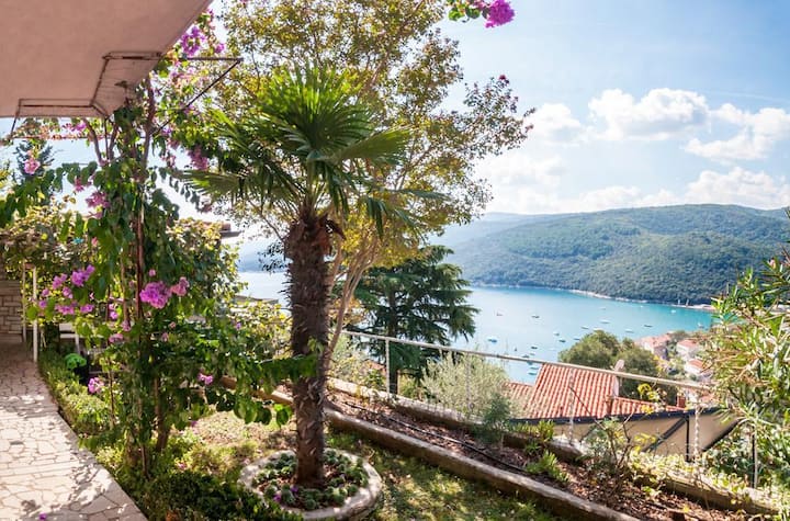 Comfortable Ground Floor Sea View Apartment - Rabac